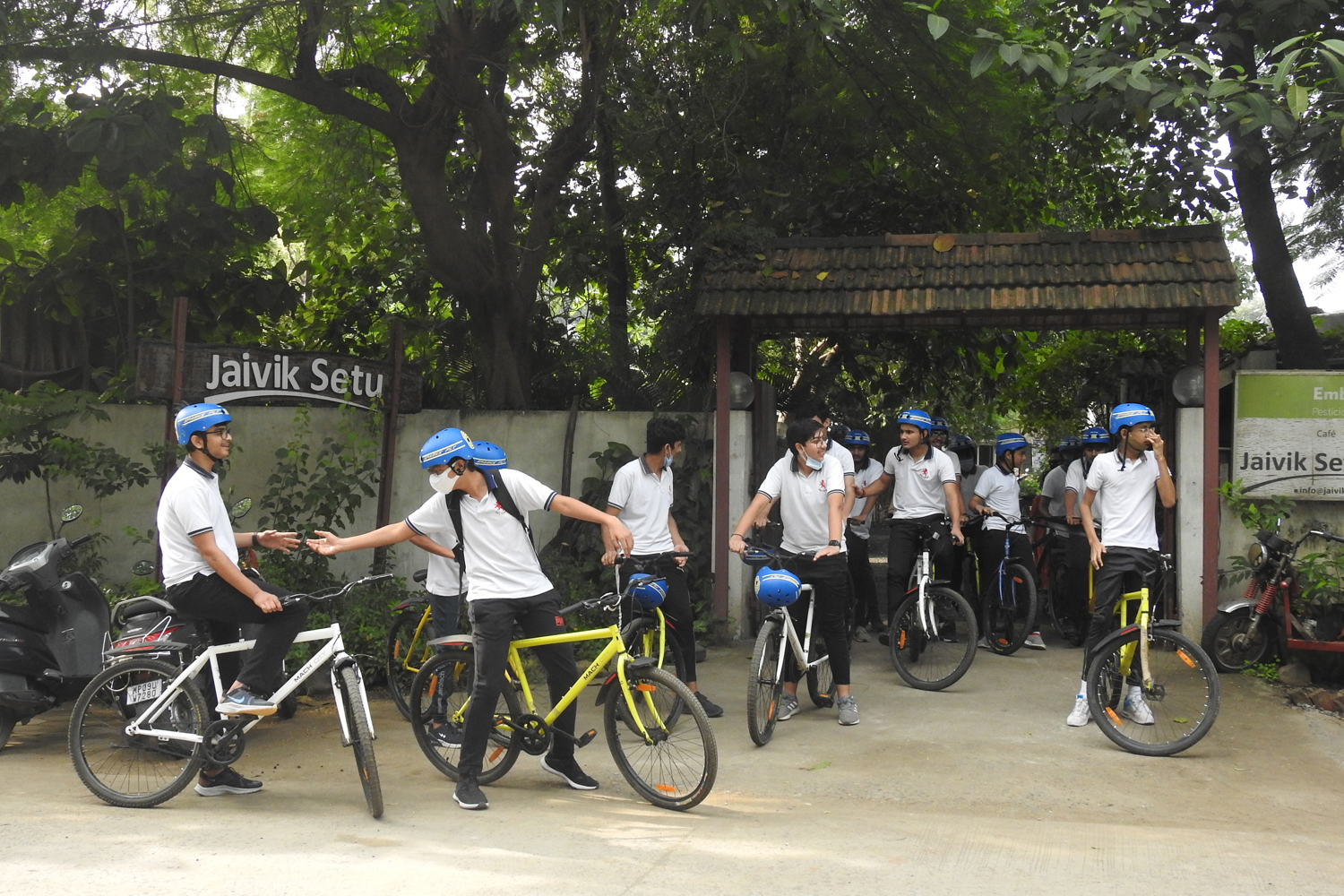 Online organic products in India | Organic and Natural Food and ...